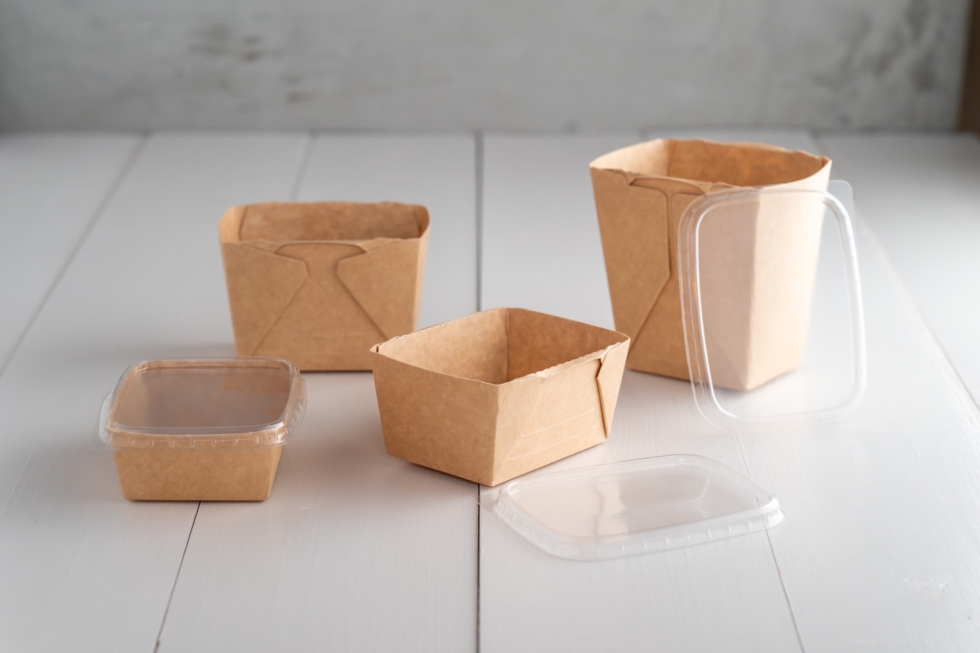 KRAFT Deli2Go Container 250ml - Sabert